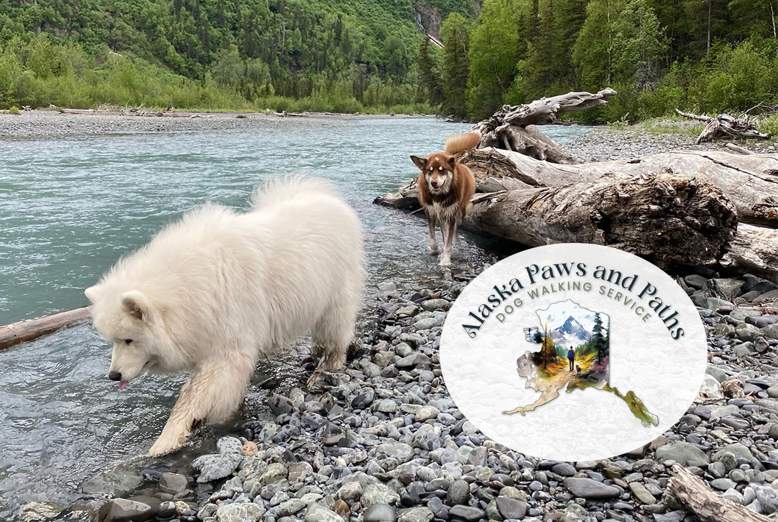 Dog Blog - Alaska Paws and Paths